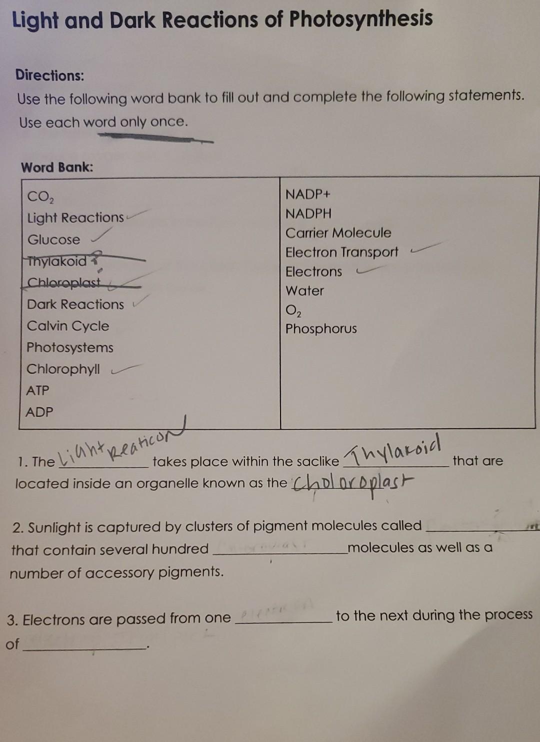 Solved Light and Dark Reactions of Photosynthesis | Chegg.com