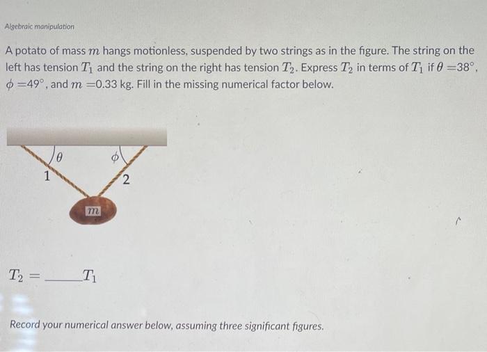 Solved A potato of mass m hangs motionless, suspended by two | Chegg.com