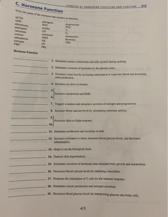 Solved C. Hormone Function EXERCISE 25 ENDOCRINE STRUCTURE | Chegg.com