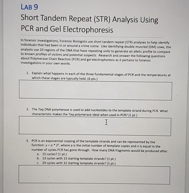 Solved LAB 9 Short Tandem Repeat (STR) Analysis Using PCR | Chegg.com