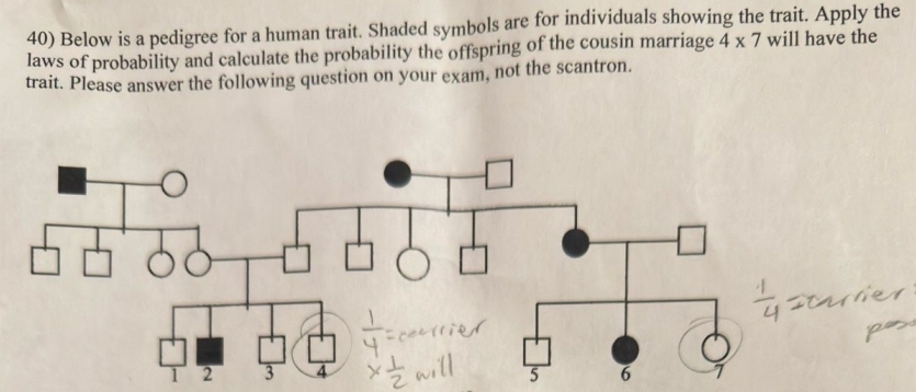 Solved Below is a pedigree for a human trait. Shaded symbols | Chegg.com