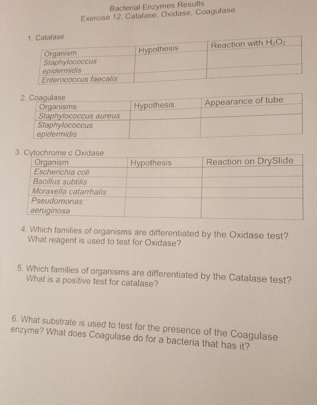 Solved Bacterial Enzymes Results Exercise 12: Catalase, | Chegg.com