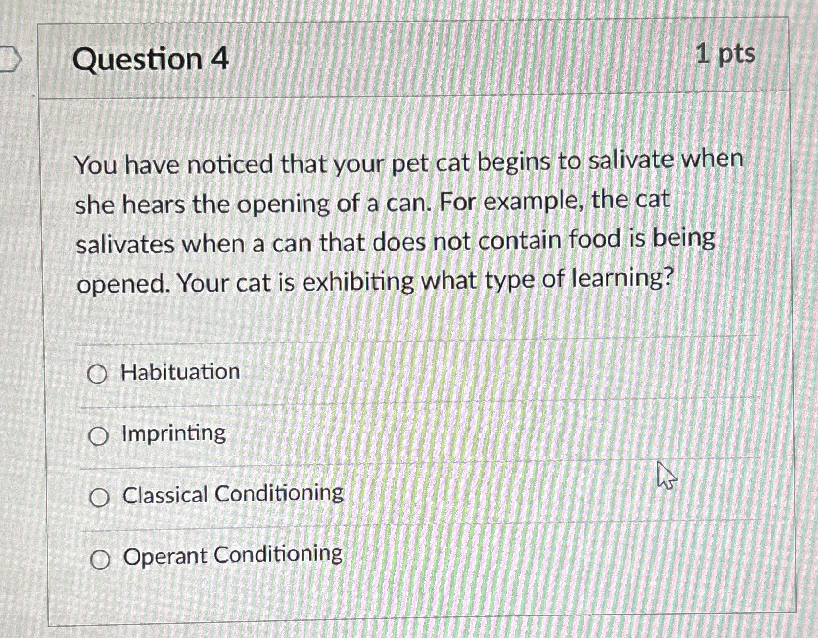 Solved Question 41 ﻿ptsYou have noticed that your pet cat | Chegg.com