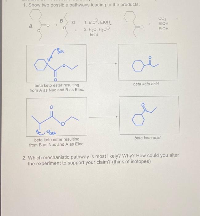 Solved 1. Show two possible pathways leading to the | Chegg.com