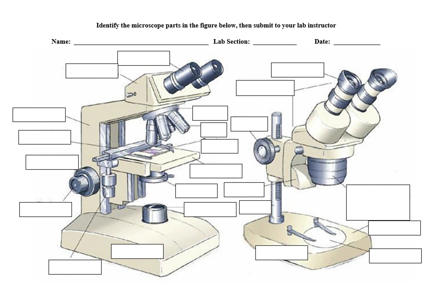 Solved BIO II ﻿Lab Identify the microscope parts in the | Chegg.com