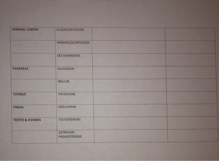 Solved ENDOCRINE SYSTEM TABLE FUNCTIONS DISEASES GLAND | Chegg.com