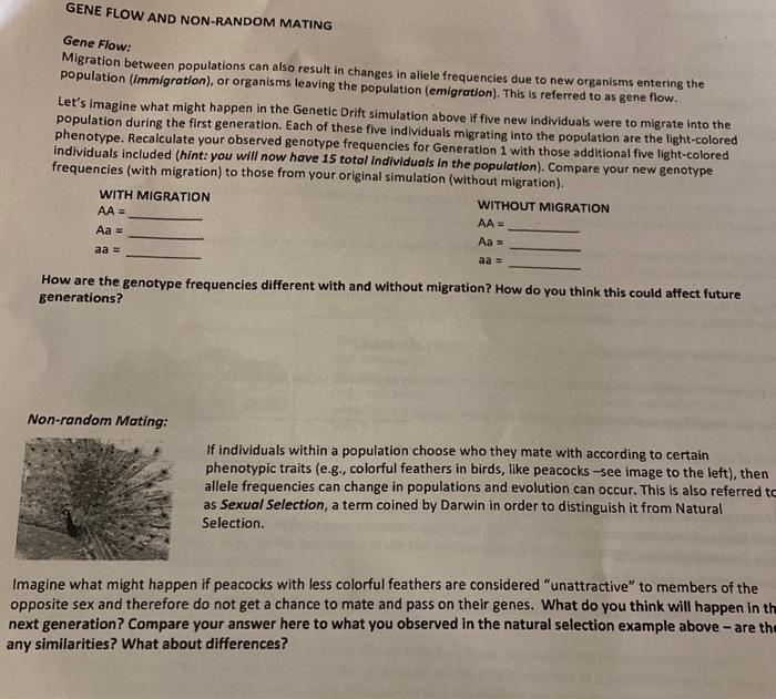 Solved Gene Flow: Migration between populations can also | Chegg.com