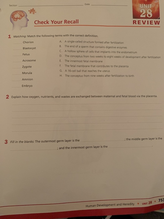 Solved Section Date UNIT 28 REVIEW Check Your Recall 1 | Chegg.com