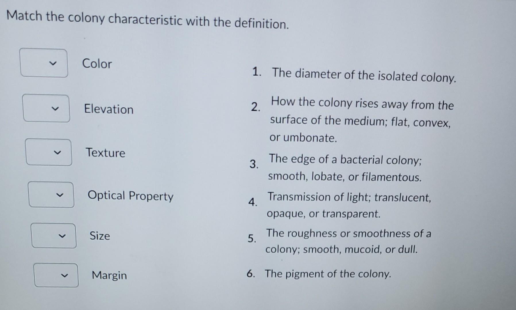 Solved Match the colony characteristic with the definition. | Chegg.com