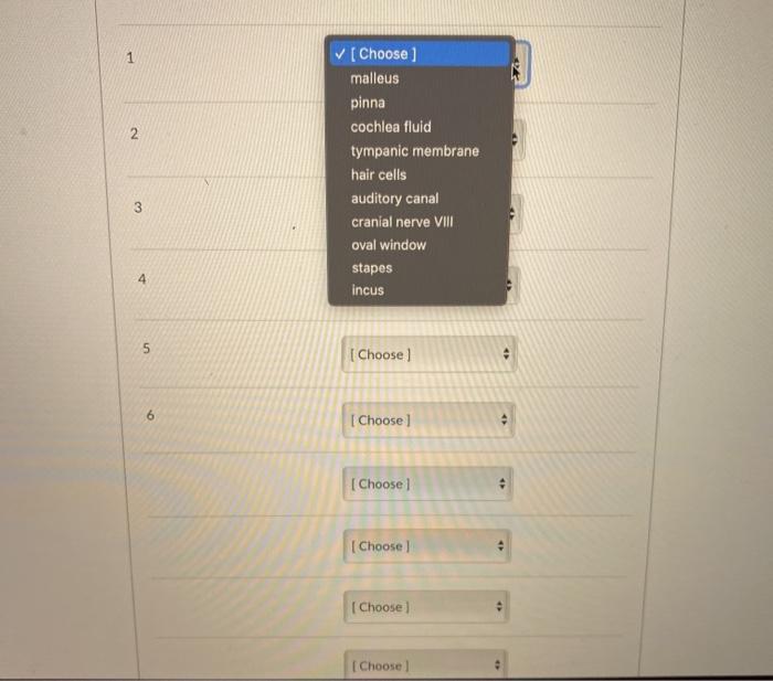 Solved put the steps of hearing process in the correct order | Chegg.com