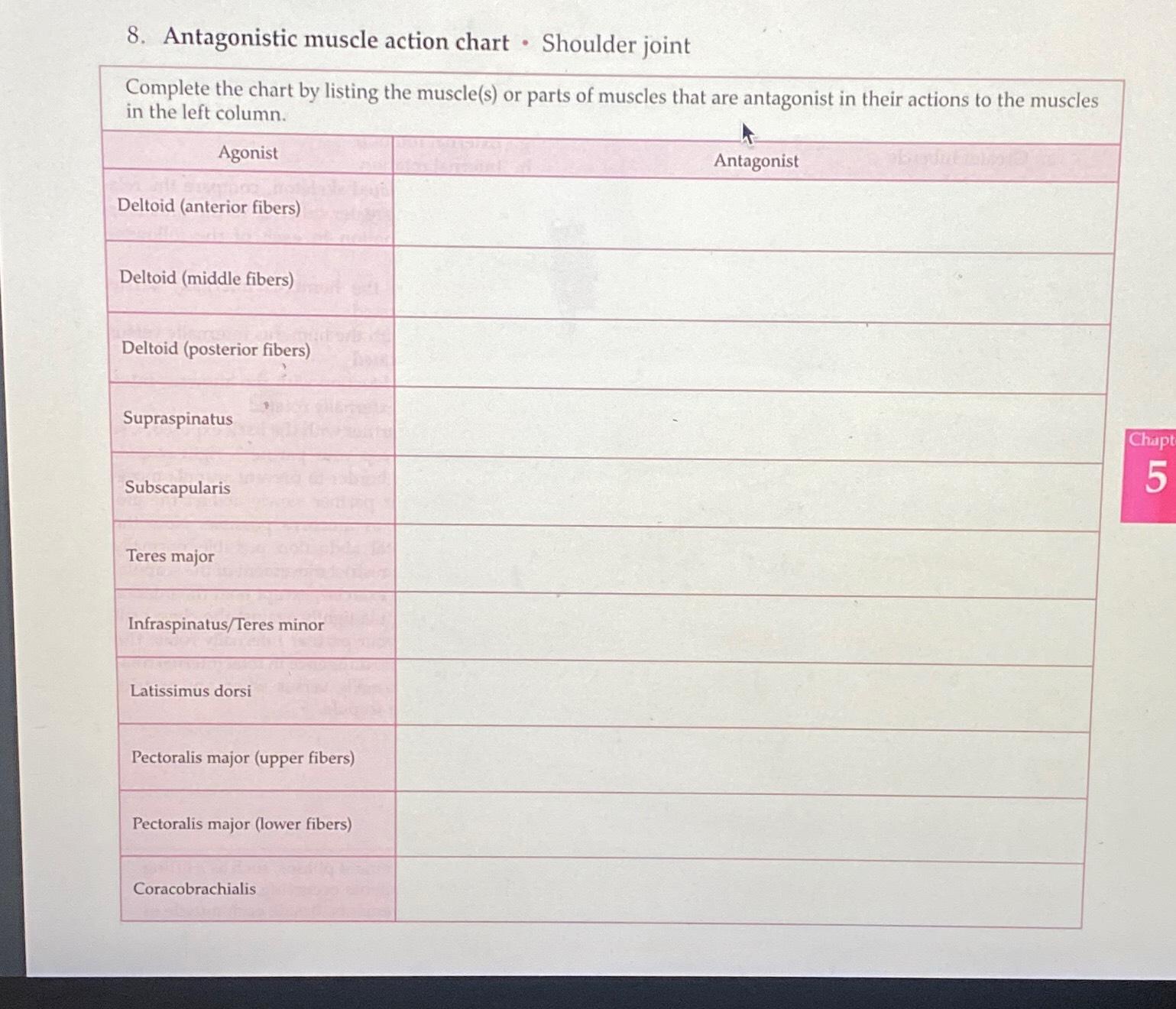 Solved Antagonistic muscle action chart - ﻿Shoulder | Chegg.com