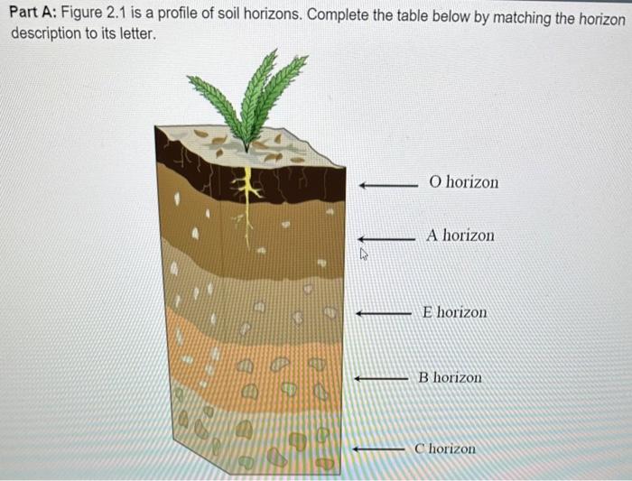 Exercise 1: Soil Sample Observations (Time to get | Chegg.com