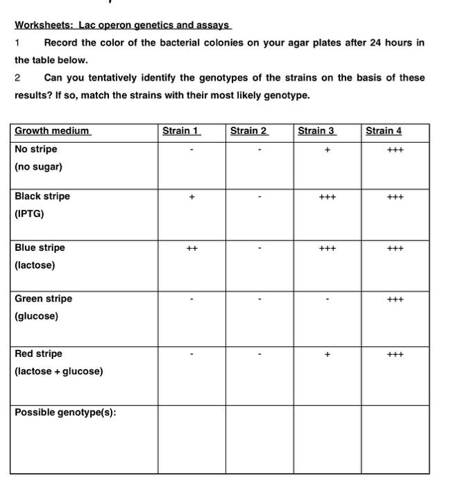 Worksheets: Lac operon genetics and assays 1 Record | Chegg.com
