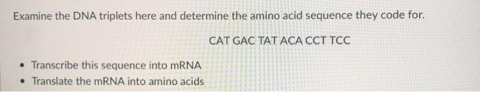 Solved Examine the DNA triplets here and determine the amino | Chegg.com