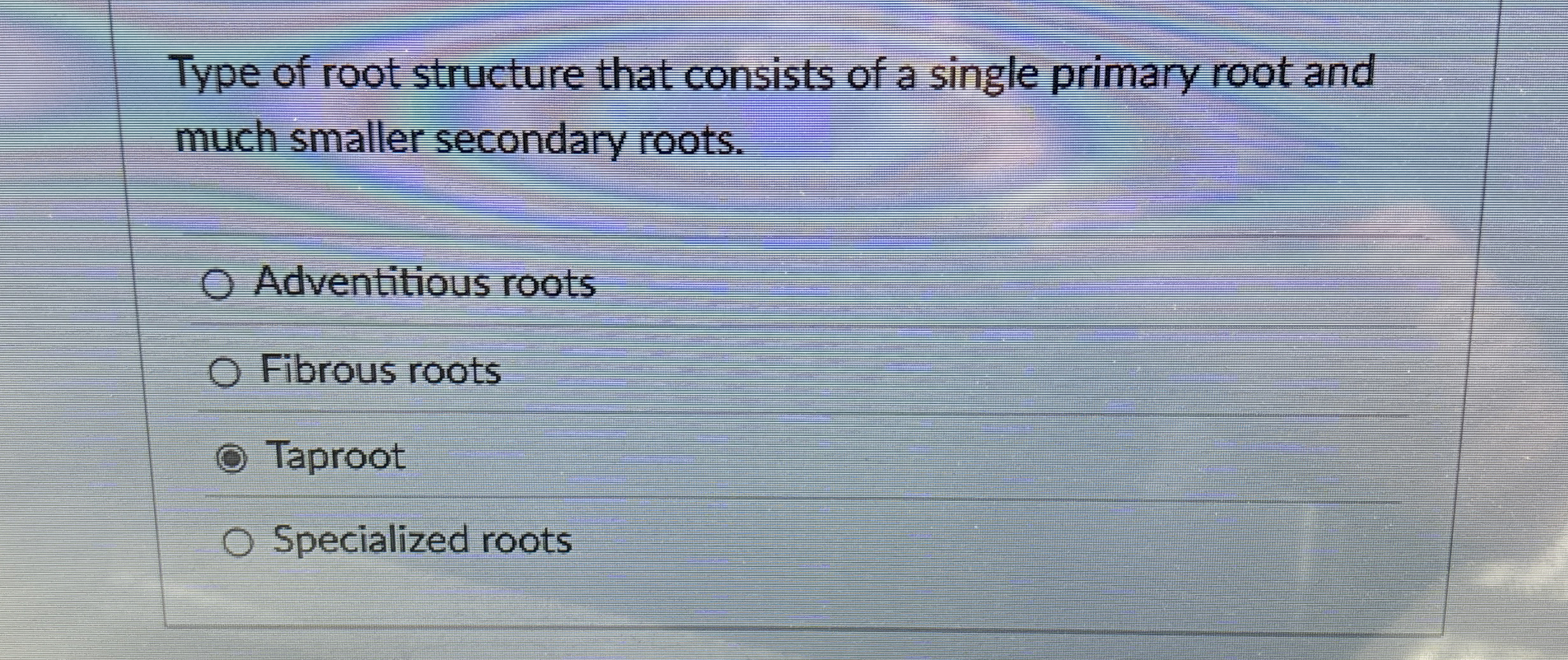 Solved Type of root structure that consists of a single | Chegg.com