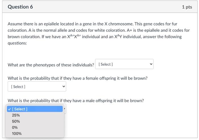 Solved Question 6 1 pts Assume there is an epiallele located | Chegg.com
