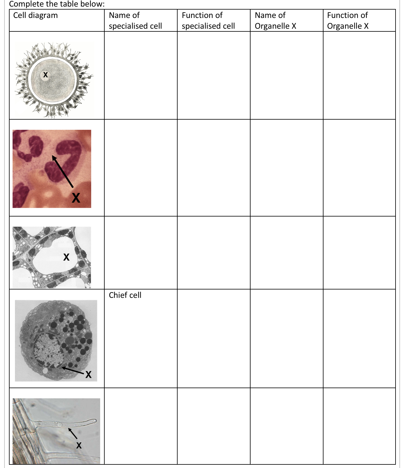 Solved Complete the table below:\table[[Cell | Chegg.com