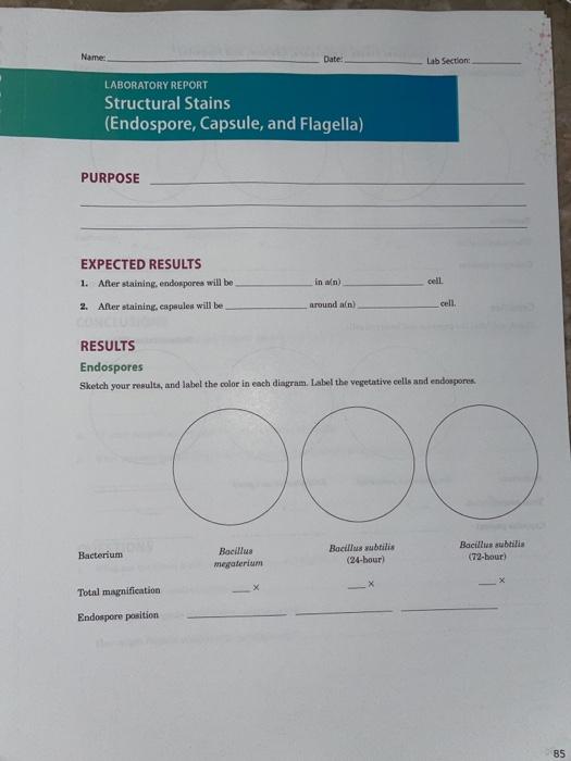 Solved Name: Date: Lab Section LABORATORY REPORT Structural | Chegg.com