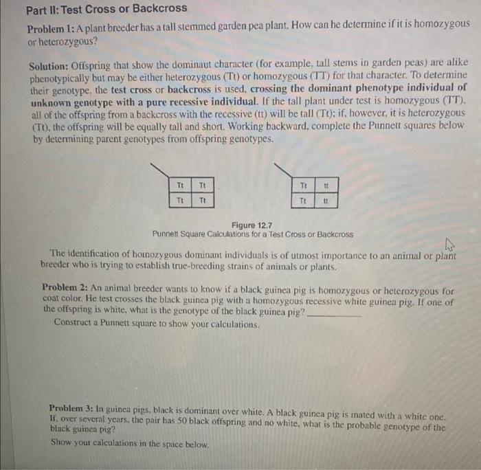 Solved Part II: Test Cross or Backcross Problem 1: A plant | Chegg.com