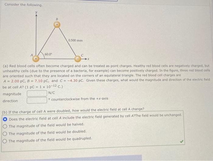 Solved Consider the following. B 0.500 mm 60.0 (a) Red blood | Chegg.com