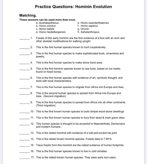 Solved Practice Questions: Hominin Evolution Matching. These | Chegg.com