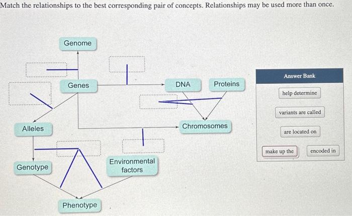 Solved Match the relationships to the best corresponding | Chegg.com Solved Match the relationships to the best corresponding | Chegg.com