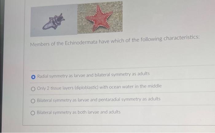 Solved Members of the Echinodermata have which of the | Chegg.com