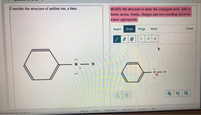 Solved Consider the structure of aniline ion, a base. Modify | Chegg.com