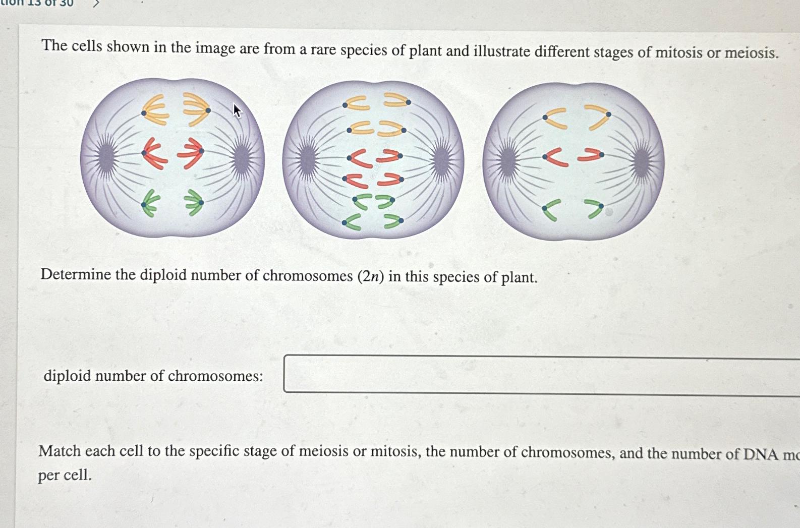 The cells shown in the image are from a rare species | Chegg.com