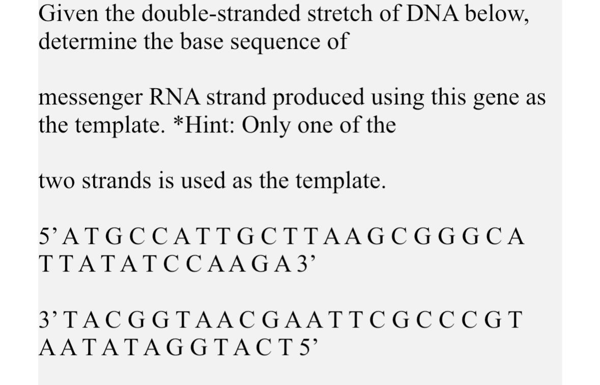 Solved Given the double-stranded stretch of DNA below, | Chegg.com