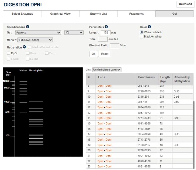 Solved Analyze the following image and explain what happens | Chegg.com