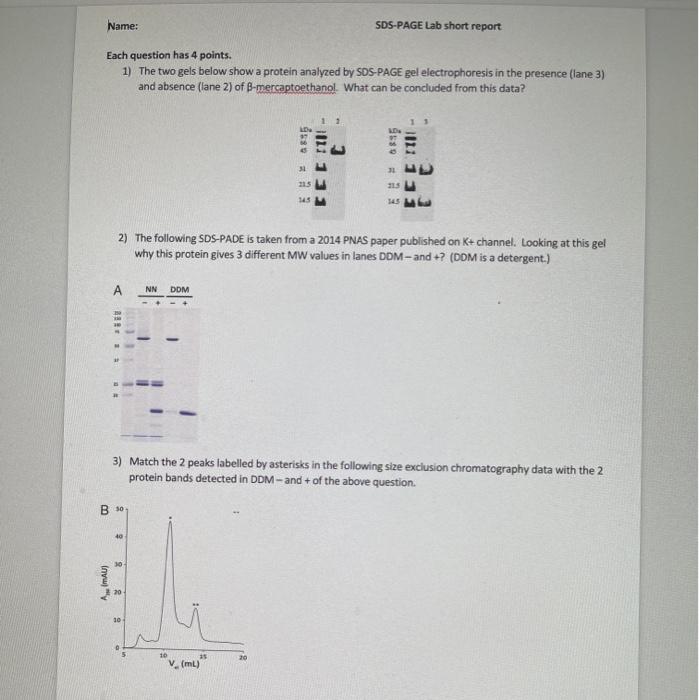 Name: SDS-PAGE Lab short report Each question has 4 | Chegg.com