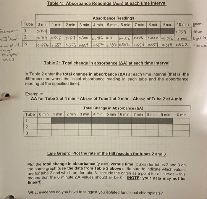 Table 1: Absorbance Readings (A600) at each time | Chegg.com