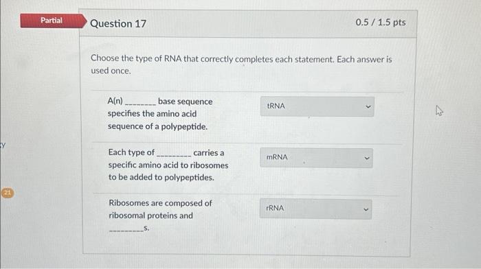 Solved Choose the type of RNA that correctly completes each | Chegg.com Solved Choose the type of RNA that correctly completes each | Chegg.com