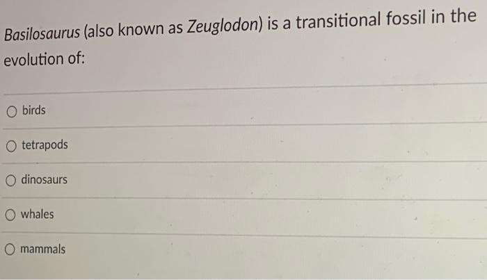 Solved Basilosaurus (also known as Zeuglodon) is a | Chegg.com