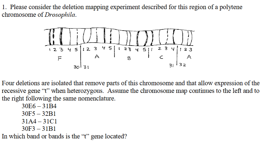 Solved Please consider the deletion mapping experiment | Chegg.com