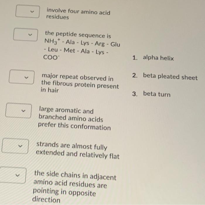 Solved > H-bonding is in between strands (interchain, as | Chegg.com