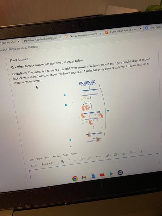 Solved Short Answer Question: In your own words describe | Chegg.com