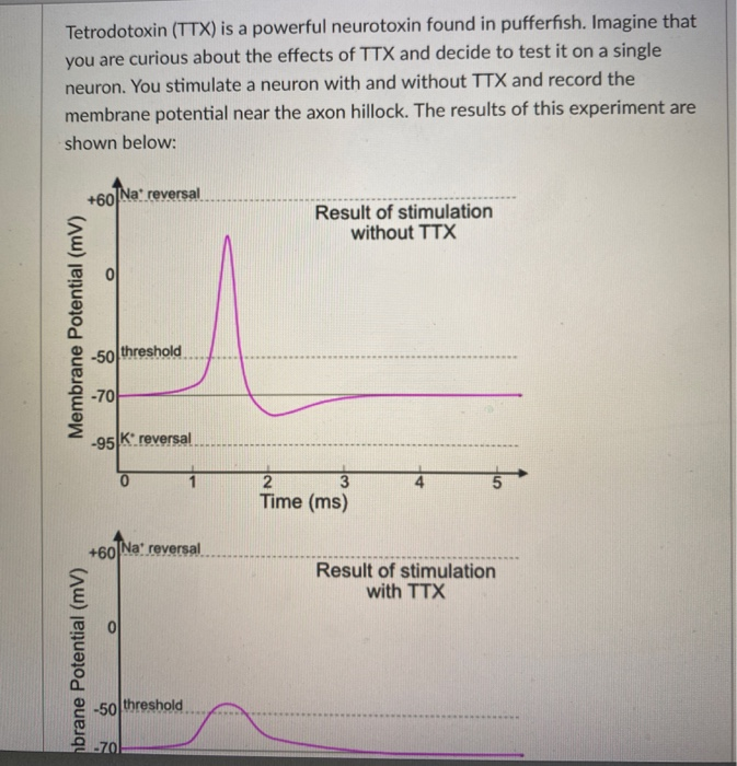 Solved Tetrodotoxin (TTX) is a powerful neurotoxin found in | Chegg.com