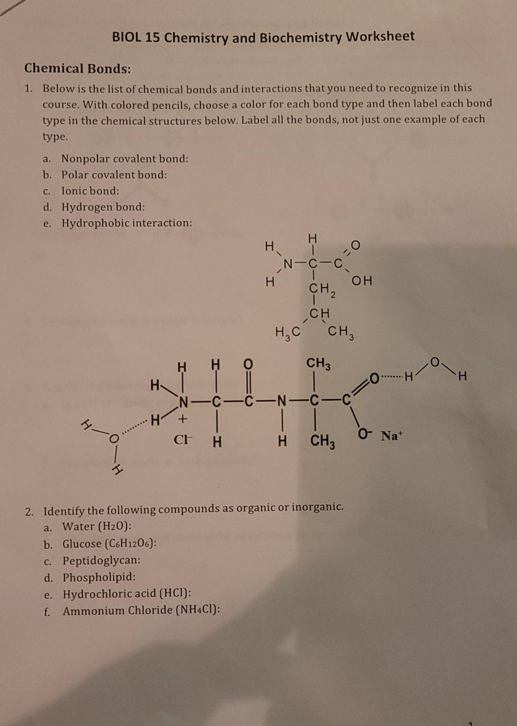 Solved BIOL 15 Chemistry and Biochemistry Worksheet Chemical | Chegg.com