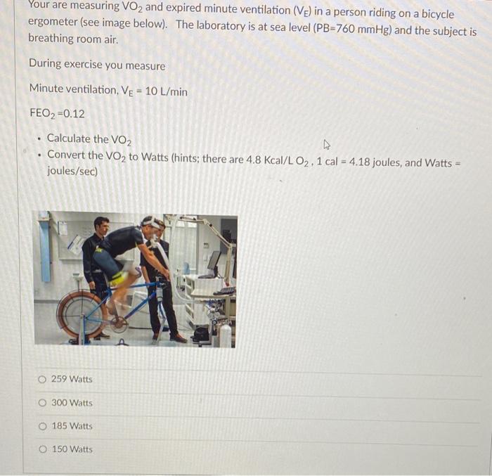 Solved Your are measuring VO2 and expired minute ventilation | Chegg.com