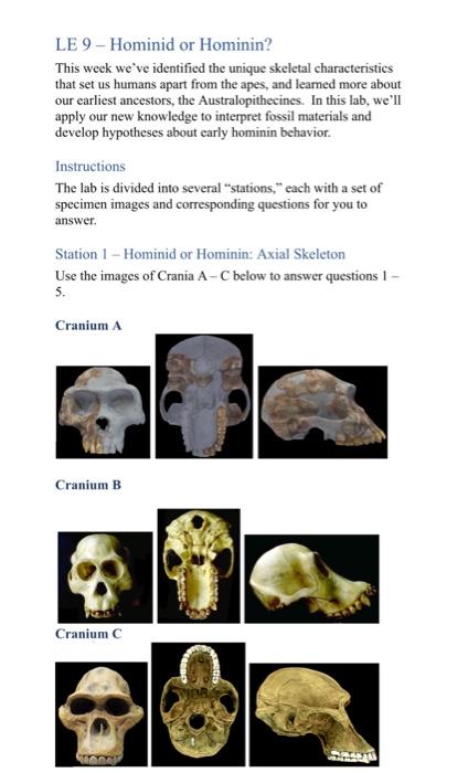 LE 9 - Hominid or Hominin? This week we've identified | Chegg.com