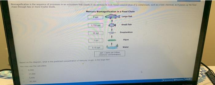 Solved Biomagnification is the sequence of processes in an | Chegg.com