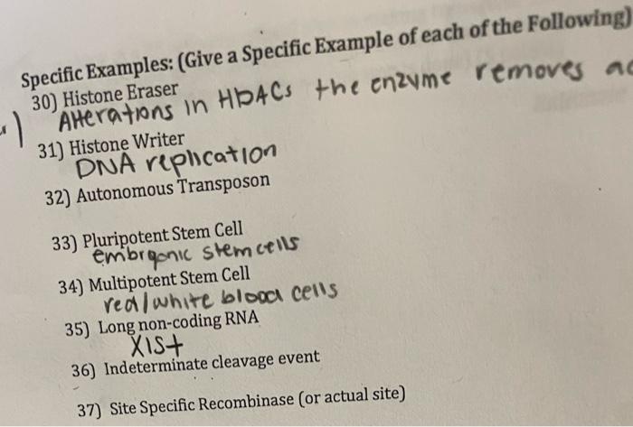 Solved Specific Examples: (Give a Specific Example of each | Chegg.com