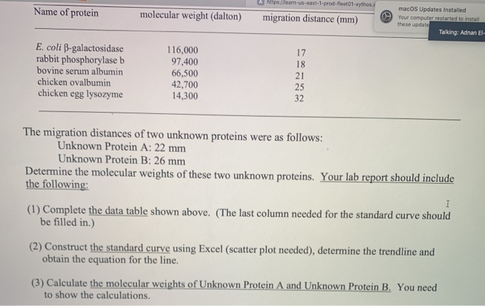 Solved https://cam-us-cast-1-prod-fleet01-xythos. Name of | Chegg.com