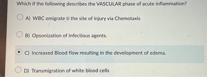 Solved Which if the following describes the VASCULAR phase | Chegg.com