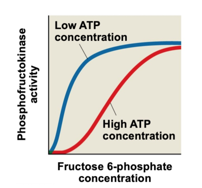 Solved Phosphofructokinase is an enzyme that acts on | Chegg.com
