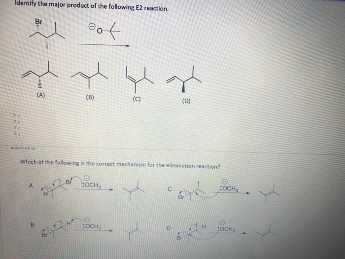 Solved Identify the major product of the following E2 | Chegg.com