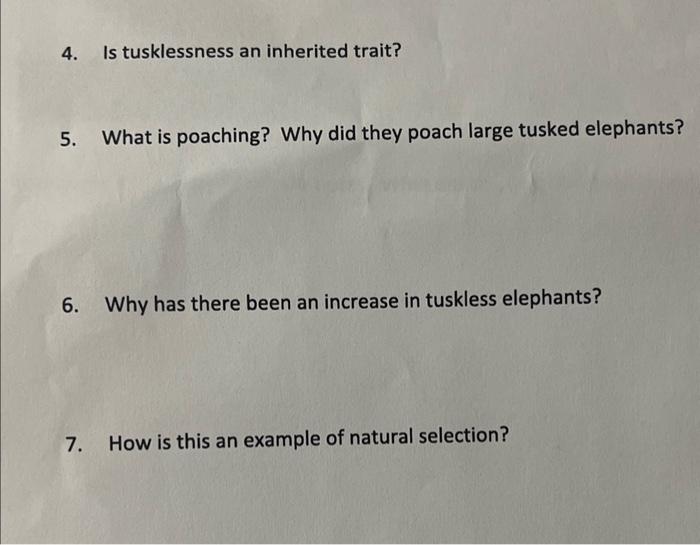 Solved 4. Is tusklessness an inherited trait? 5. What is | Chegg.com
