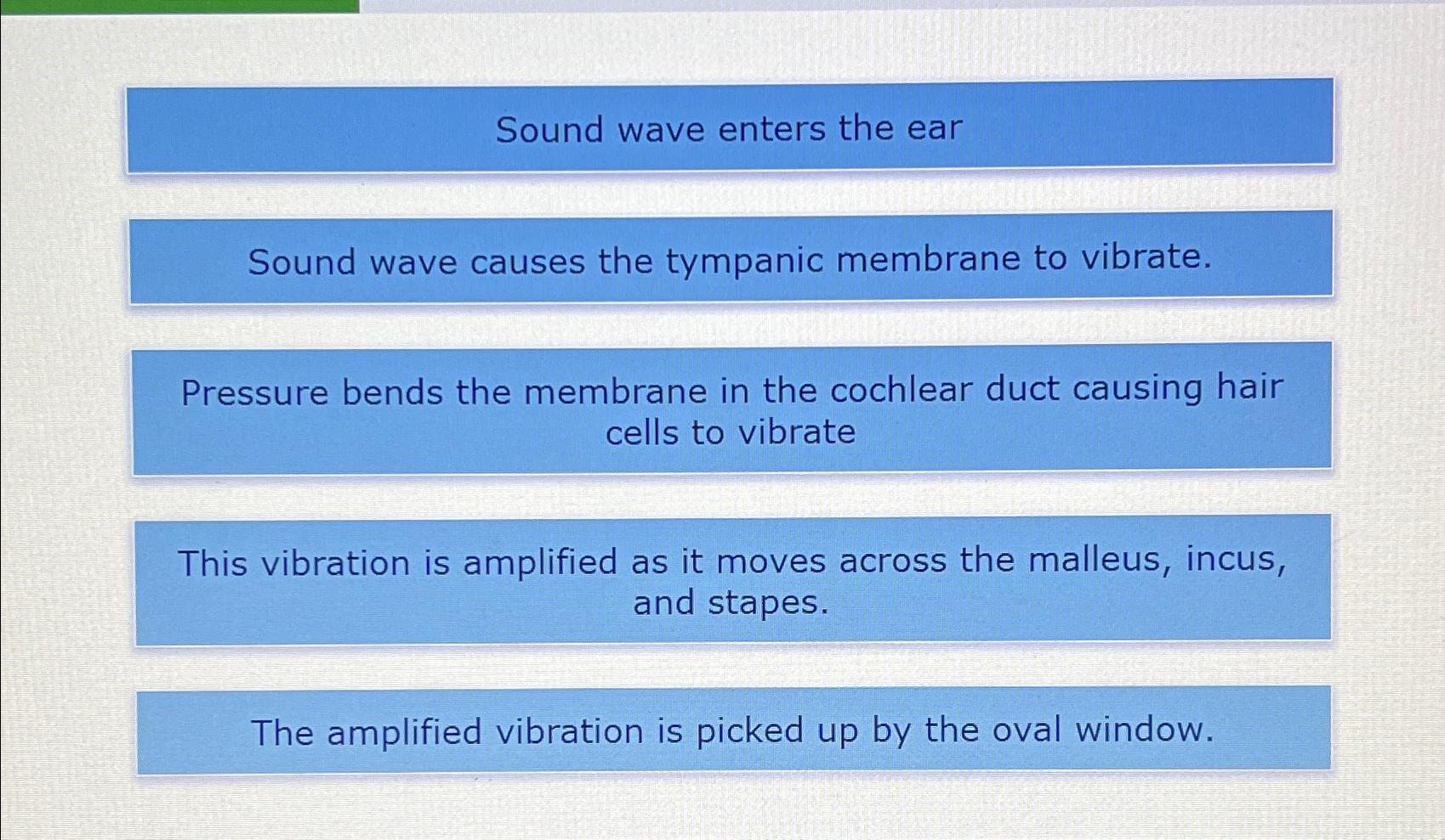 Solved Sound wave enters the earSound wave causes the | Chegg.com